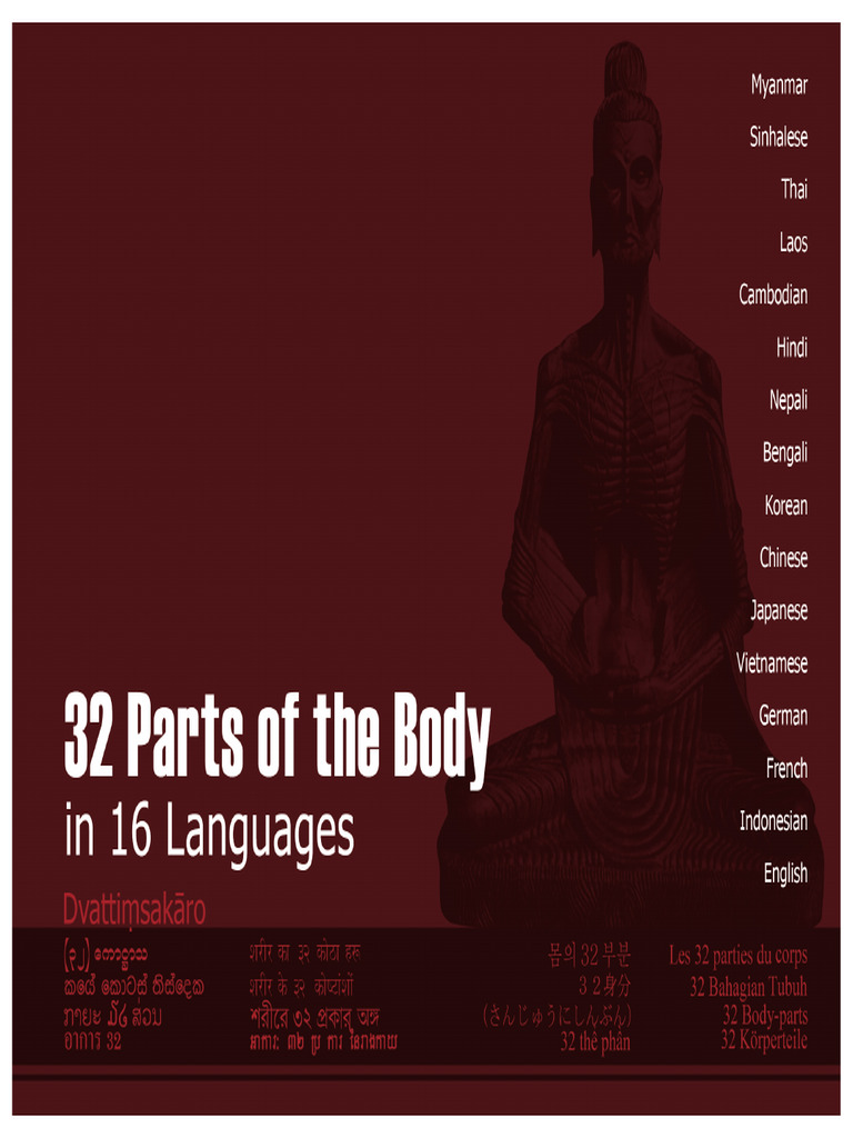 32 Body Part - Illustrated | PDF