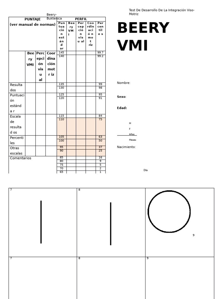 Vmi Completo Formto Aplicacion 1 | PDF