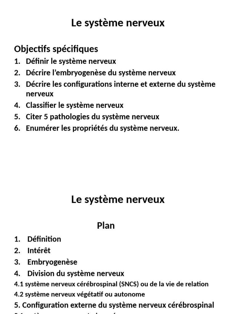 Le Système Nerveux 2022 | PDF