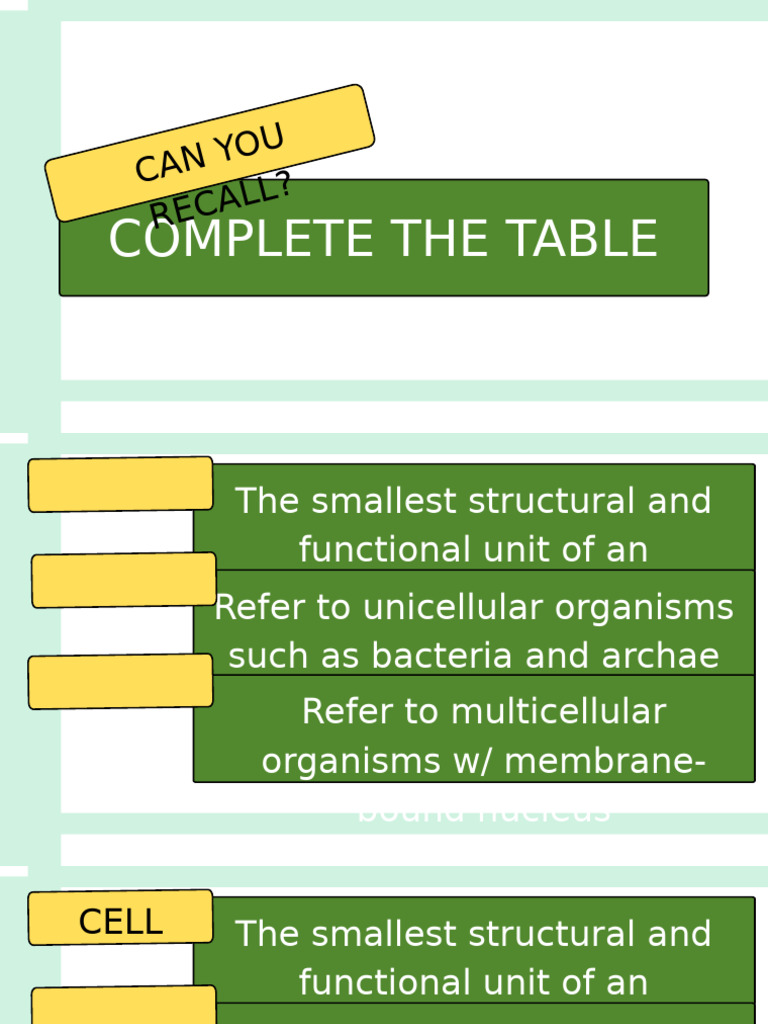 Plant Cell Structure Presentation in A Bold Green Yellow Style ...