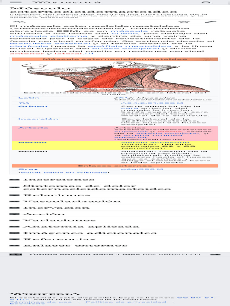 Músculo Esternocleidomastoideo - Wikipedia, La Enciclopedia Libre | PDF Músculo Esternocleidomastoideo - Wikipedia, La Enciclopedia Libre | PDF