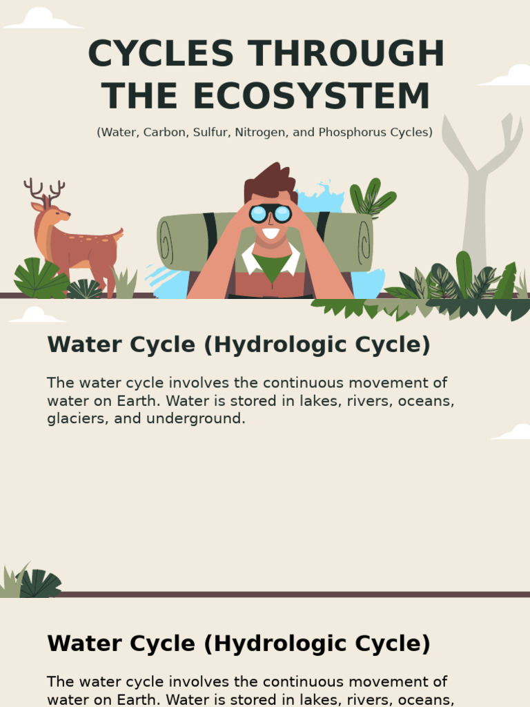 Cycles Through The Ecosystem | PDF