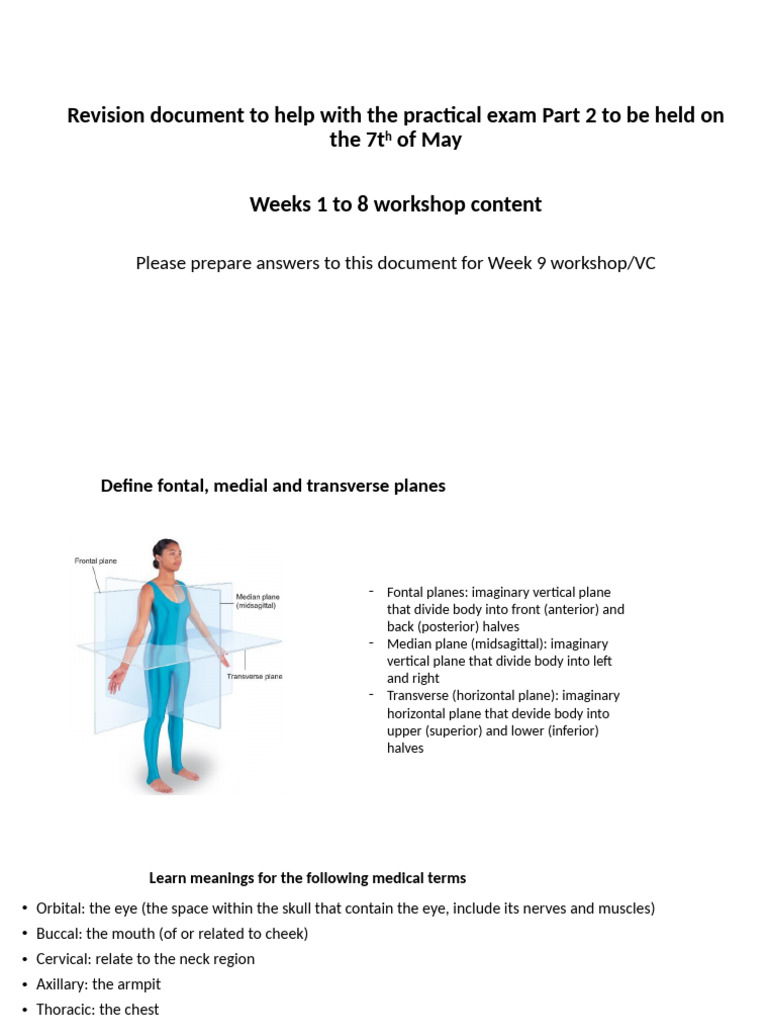 Practical Exam Revision Document | PDF