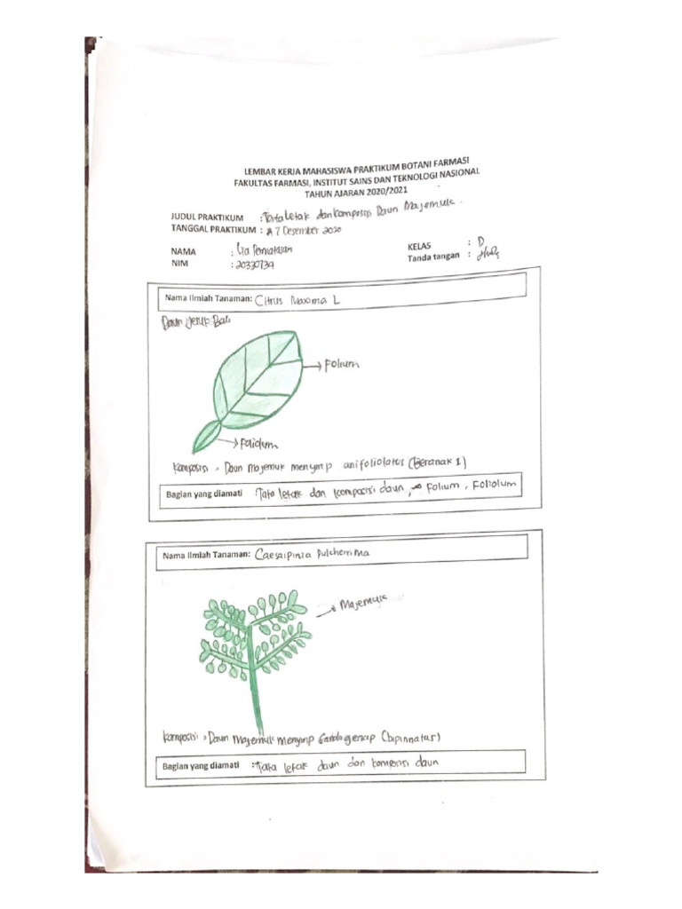 Lia Permatasari - Prak Bofar 2 | PDF