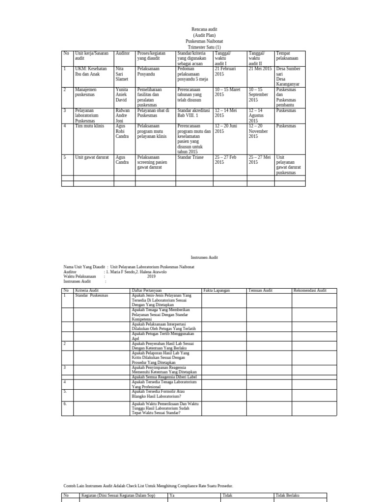 Contoh Audit Plan Dan Instrumen Audit | PDF
