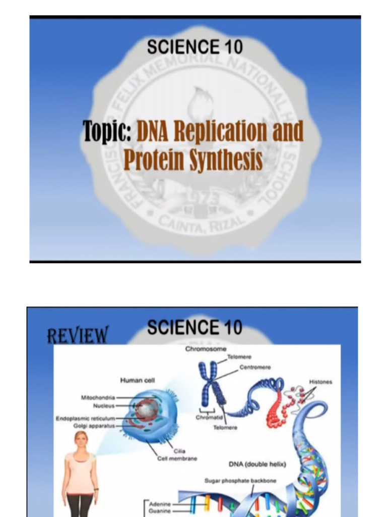 Deoxygenation | PDF