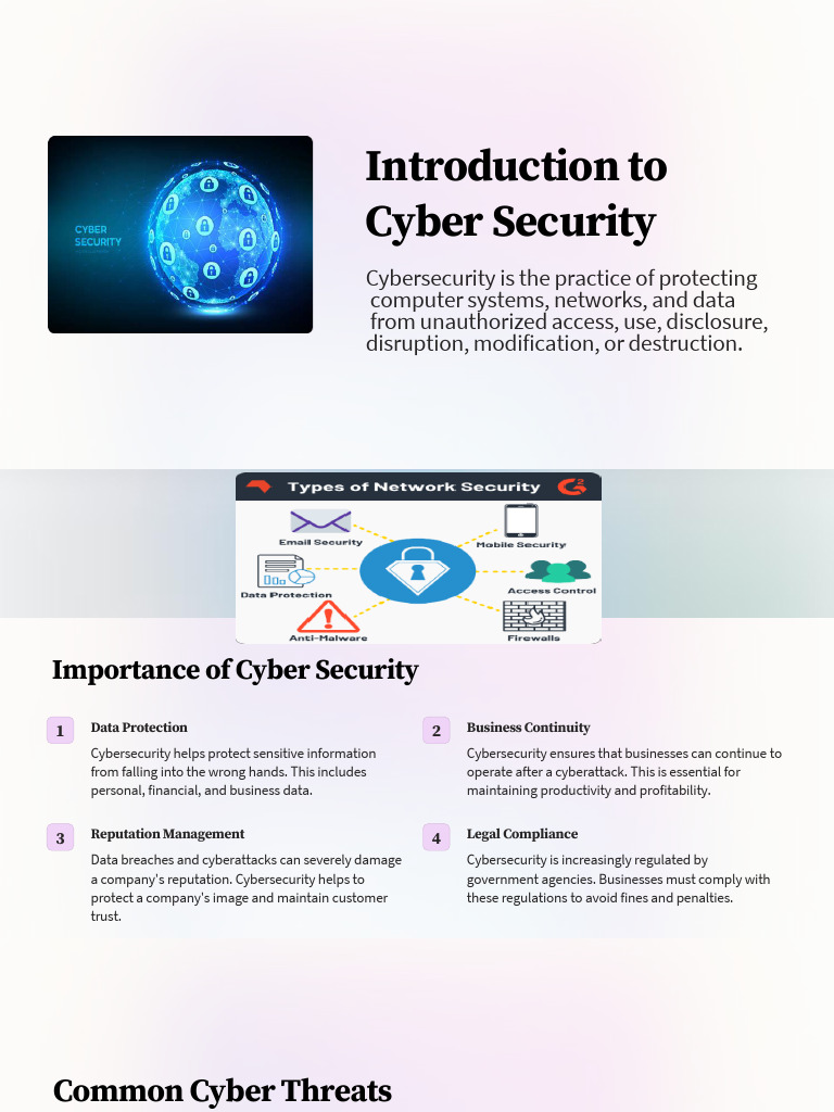 Introduction To Cyber Security | PDF