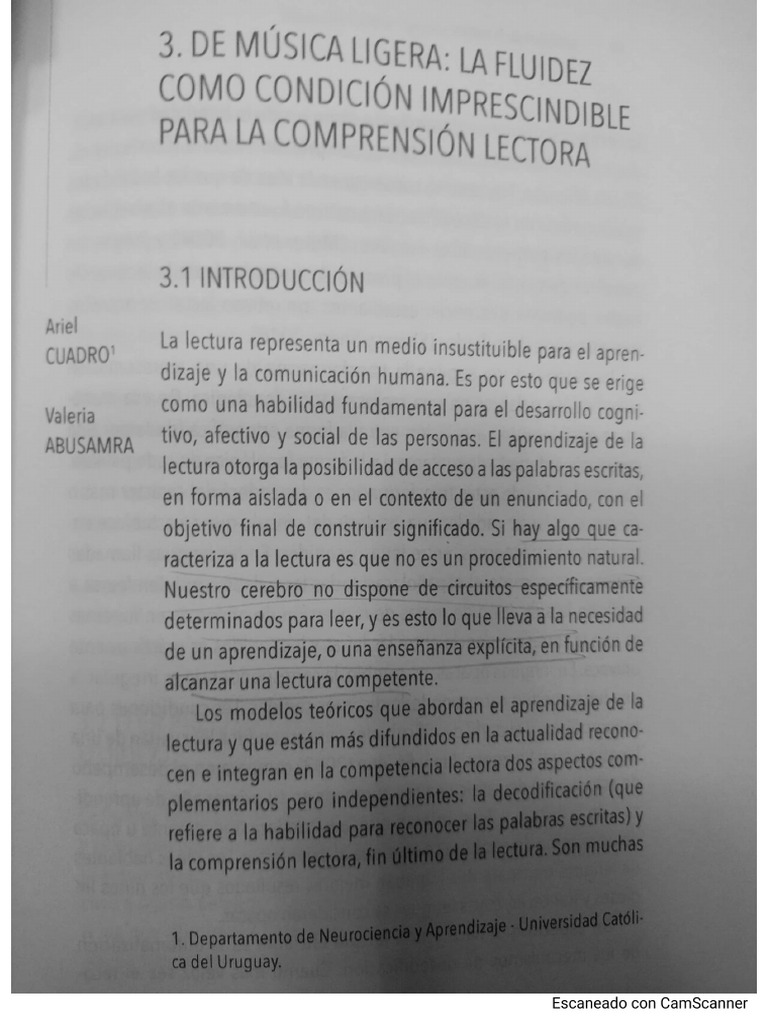 Fluidez Lectora | PDF