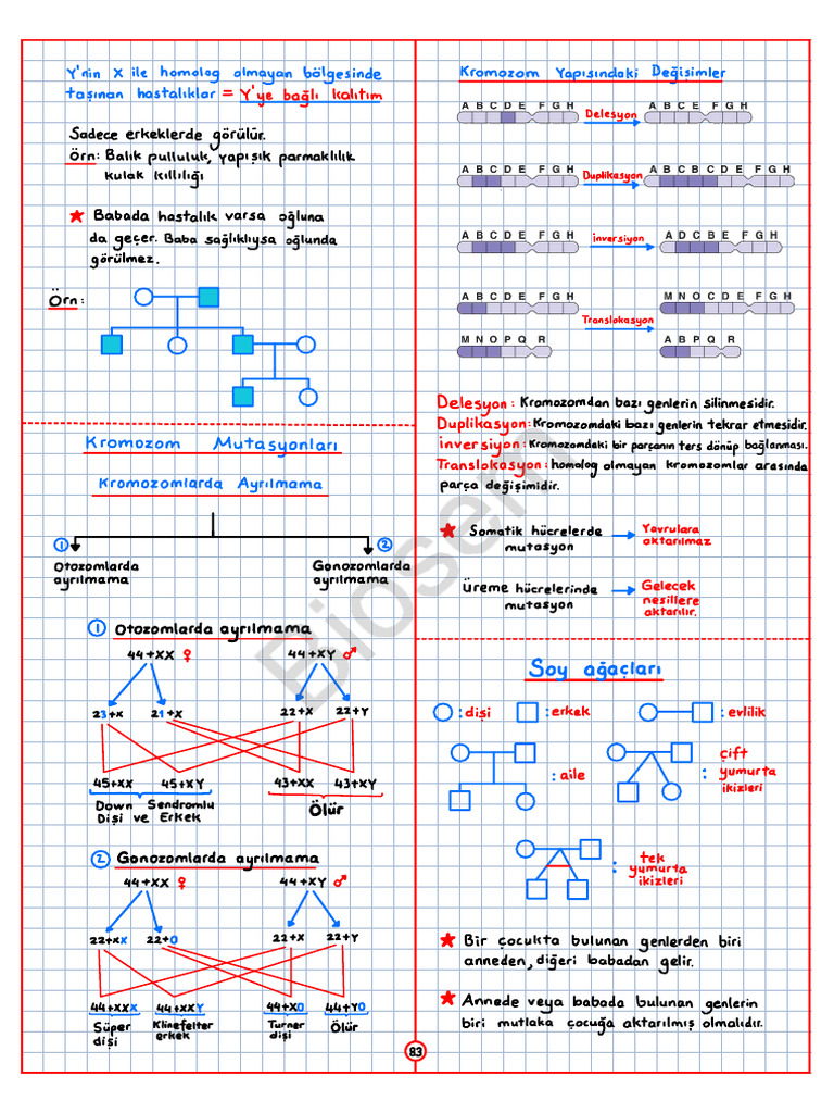 Kalitim Kromozom Mutasyonlari Biosem | PDF
