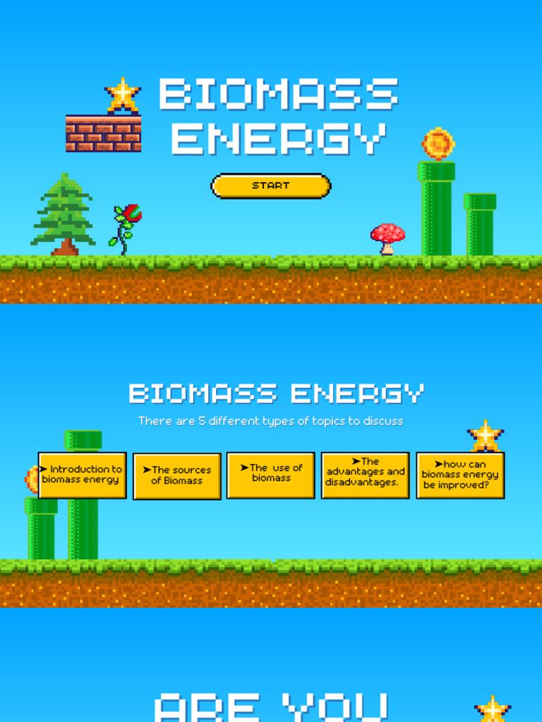 REPORT-BIOMASS-ENERGY | PDF