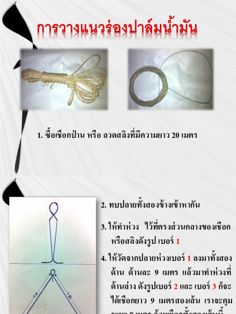 Docdata-Kpb Oilpalm | PDF