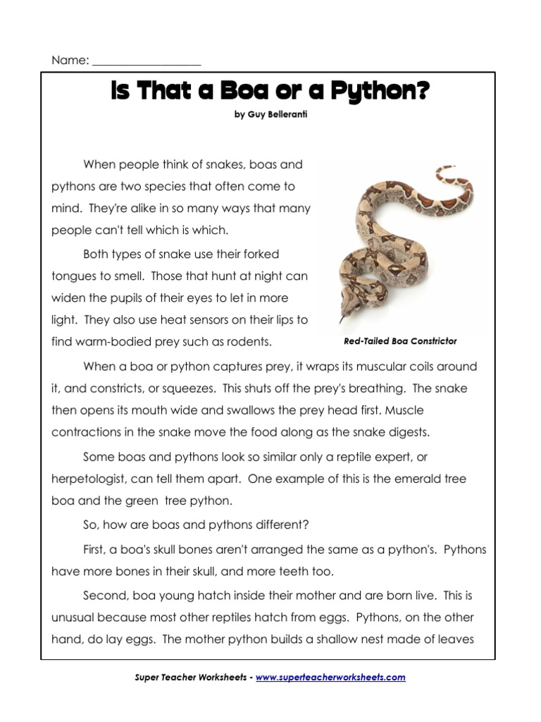 4th-Boa-Python WBDWB NOANS | PDF