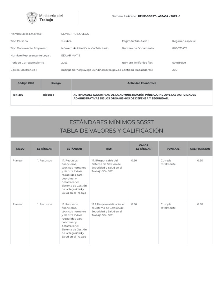 Estándares Mínimos SGSST - Tabla de Valores y Calificación | PDF | Ciencias de la Salud | Medicina