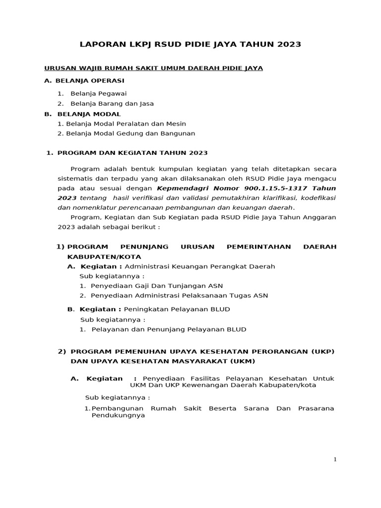LPJ Rsud 2023 | PDF