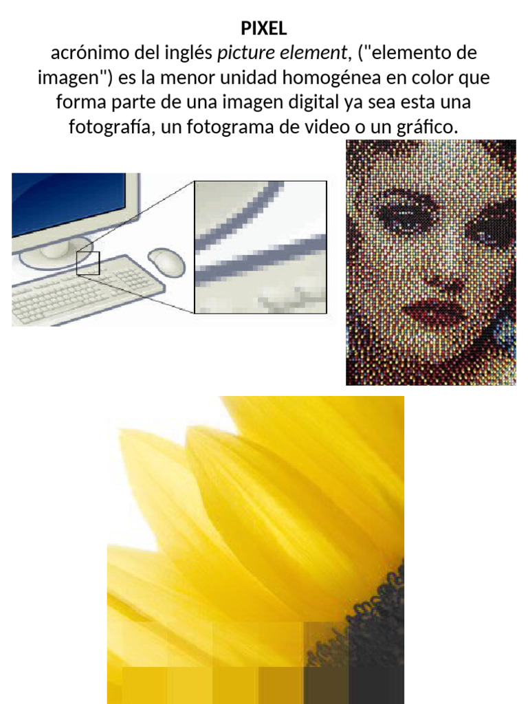 04 Pixel | PDF | Digital Signal Processing | Home & Garden