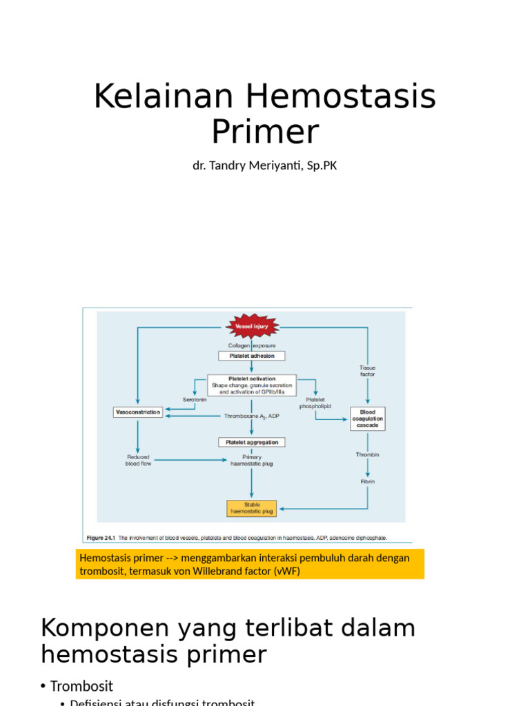 Kelainan Hemostasis Primer | PDF