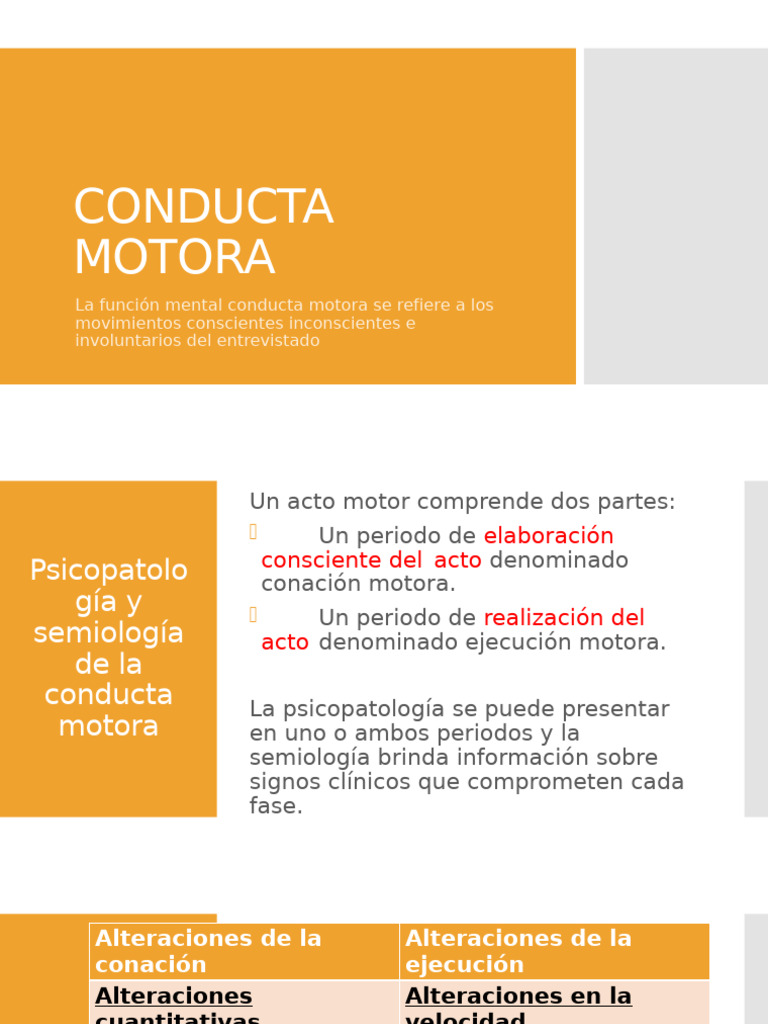Conducta Motora | PDF
