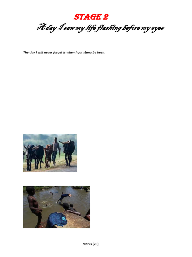 A Day with Bees: A Grade 8 Story | PDF