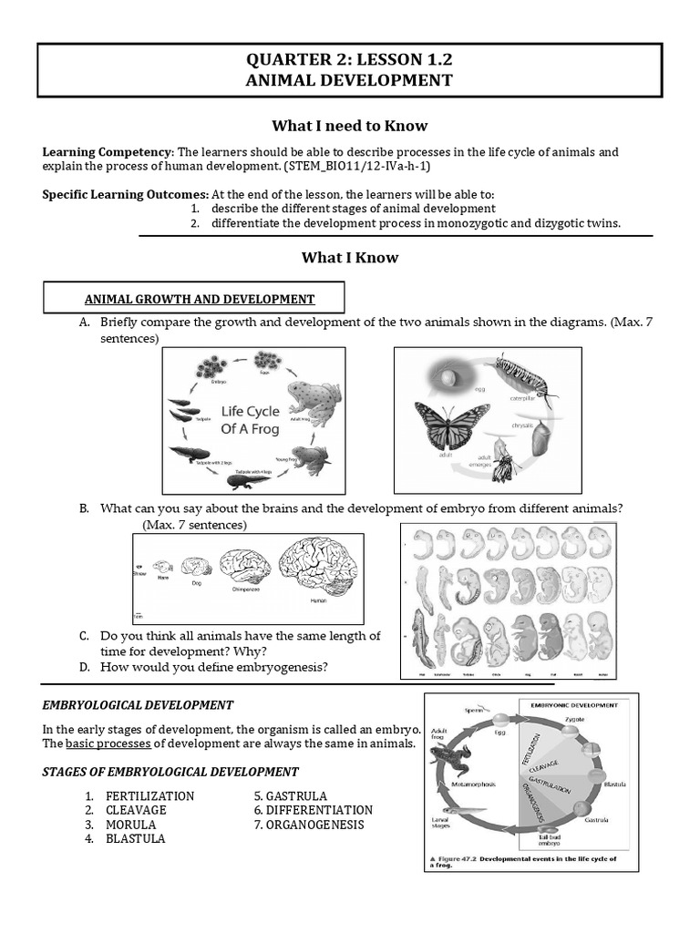 q2 Animal and Plant Growth Development | PDF