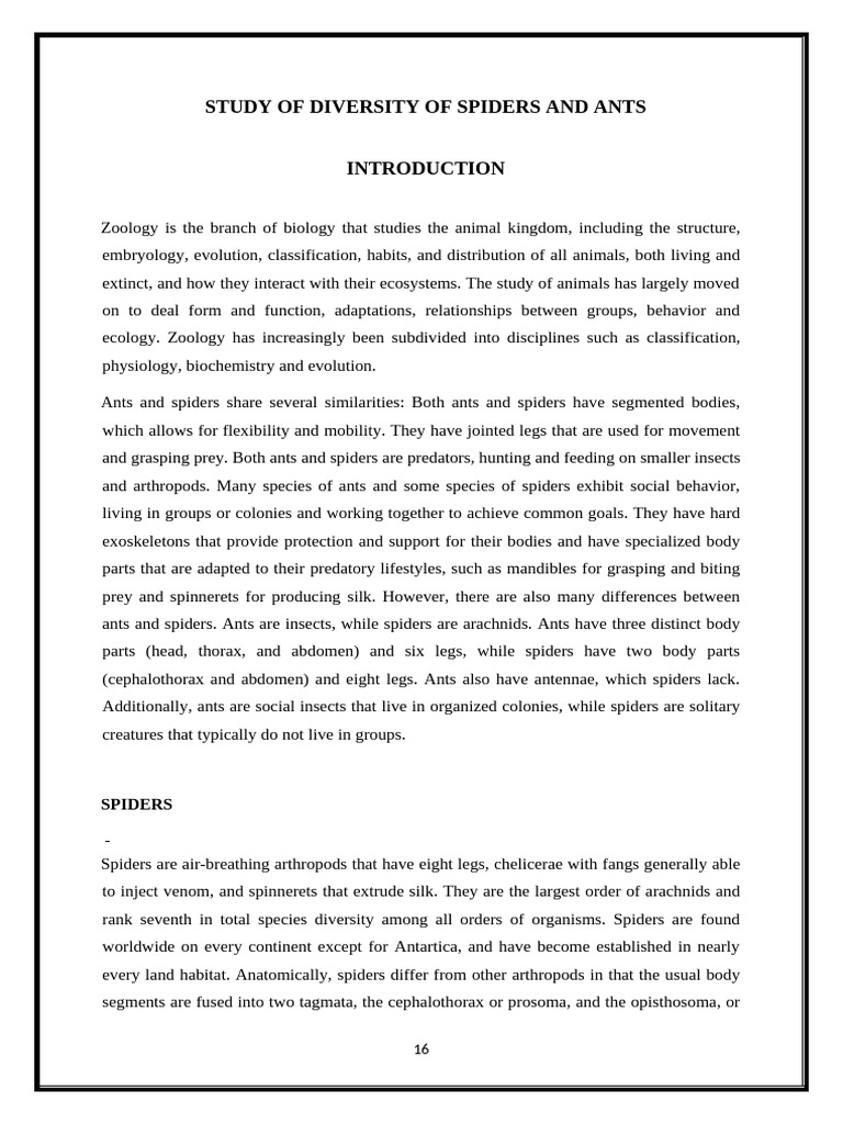 Merged Document | PDF