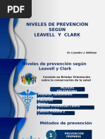 NIVELES DE LEAVELL Y CLARK Según La OMS | PDF | Asistencia sanitaria ...