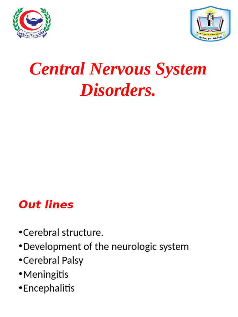 CNS (1) - 1 | PDF