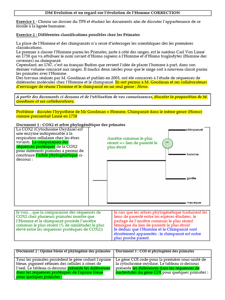 DM 2015 Correc | PDF