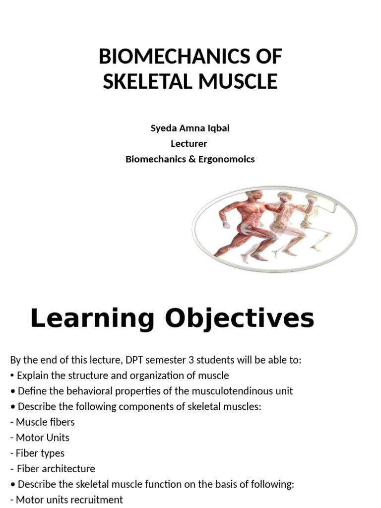 Biomechanics of Skeletal Muscle | PDF