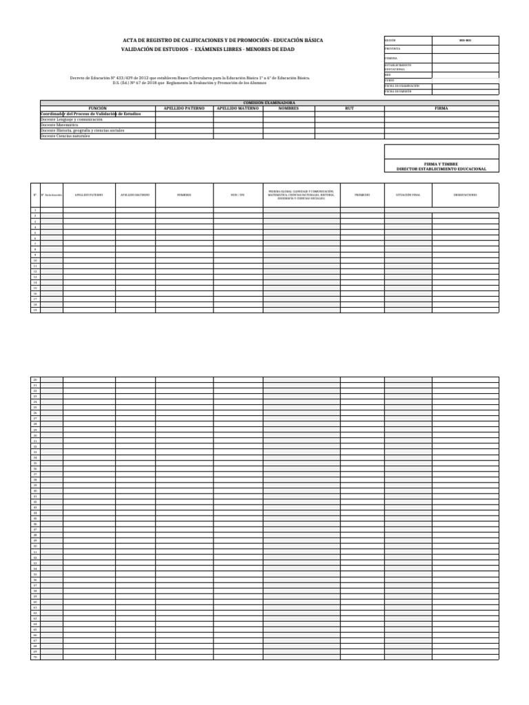 Anexo n9 Formatos Actas Menores de Edad 2022 | PDF