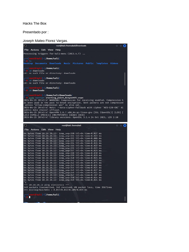 Hack de Box Paso A Paso Instalación | PDF