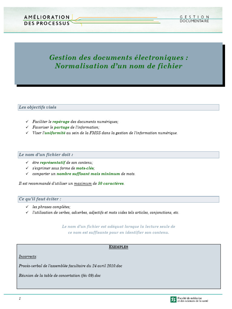 Fmss Normalisation Nom Fichier Final | PDF