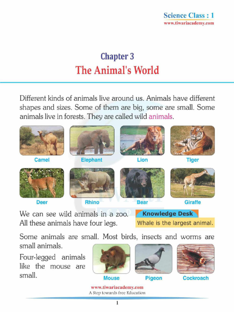 Class 1 Science Chapter 3 | PDF
