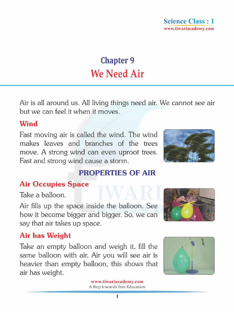 Class 1 Science Chapter 9 | PDF