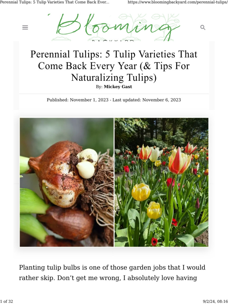 Perennial Tulips 5 Tulip Varieties | PDF | Tulip | Science & Mathematics