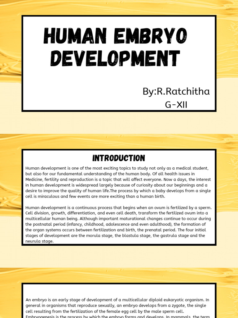 Embryological Development in Animals Science Presentation Yellow Grunge | PDF