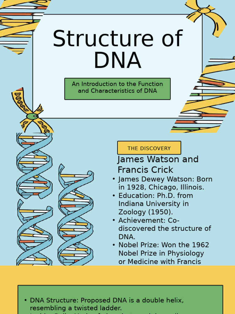Structure of DNA Science Presentation in Light Blue Green Lined Style | PDF