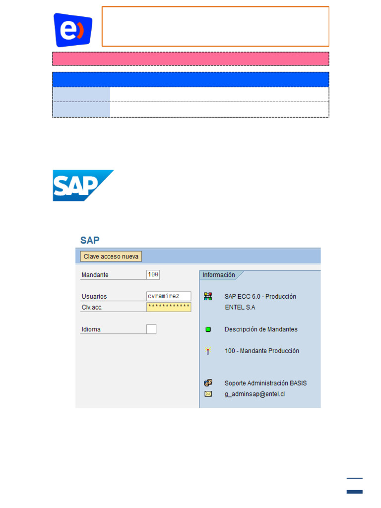 Manual Sap Reporte Traslado | PDF