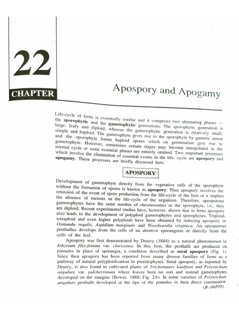 Apospory, Apogamy and Telome Theory | PDF