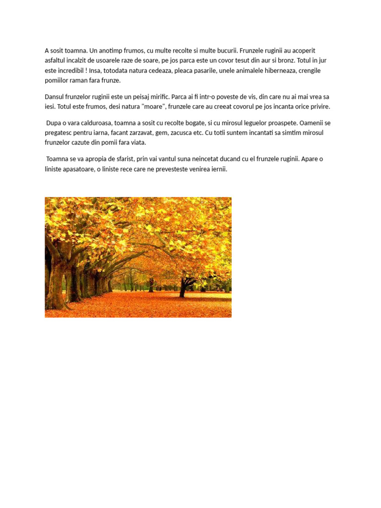 Compunere Toamna | PDF