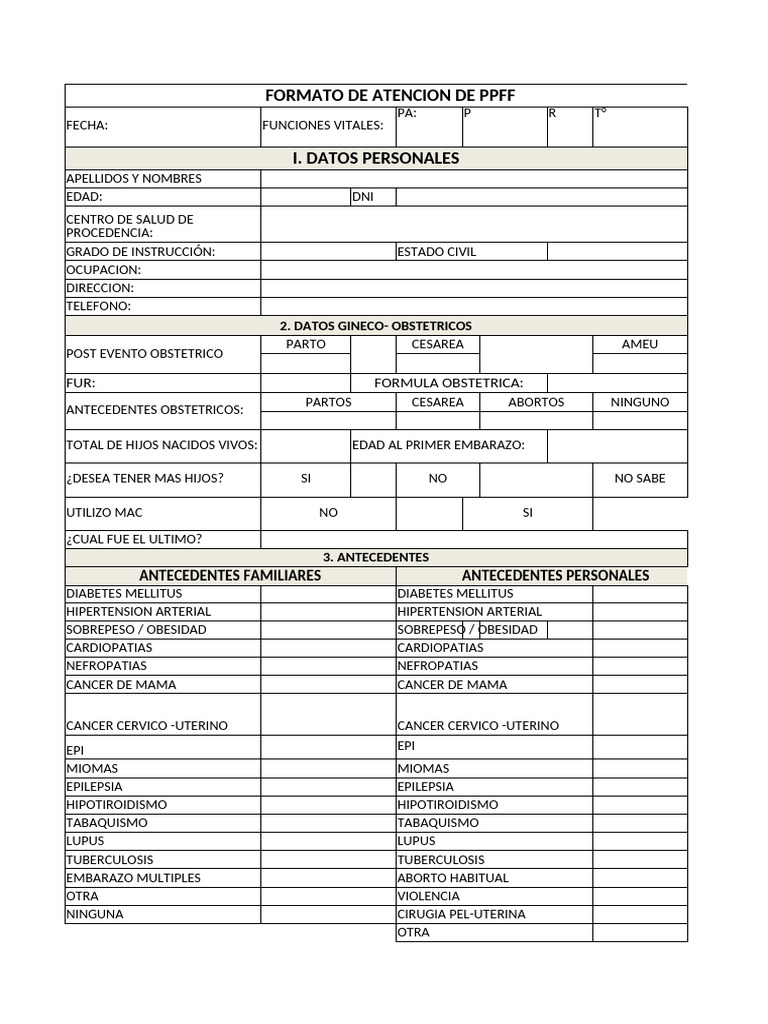 Modelo de Formato de PPFF para Atencion en Hospitalizacion | PDF