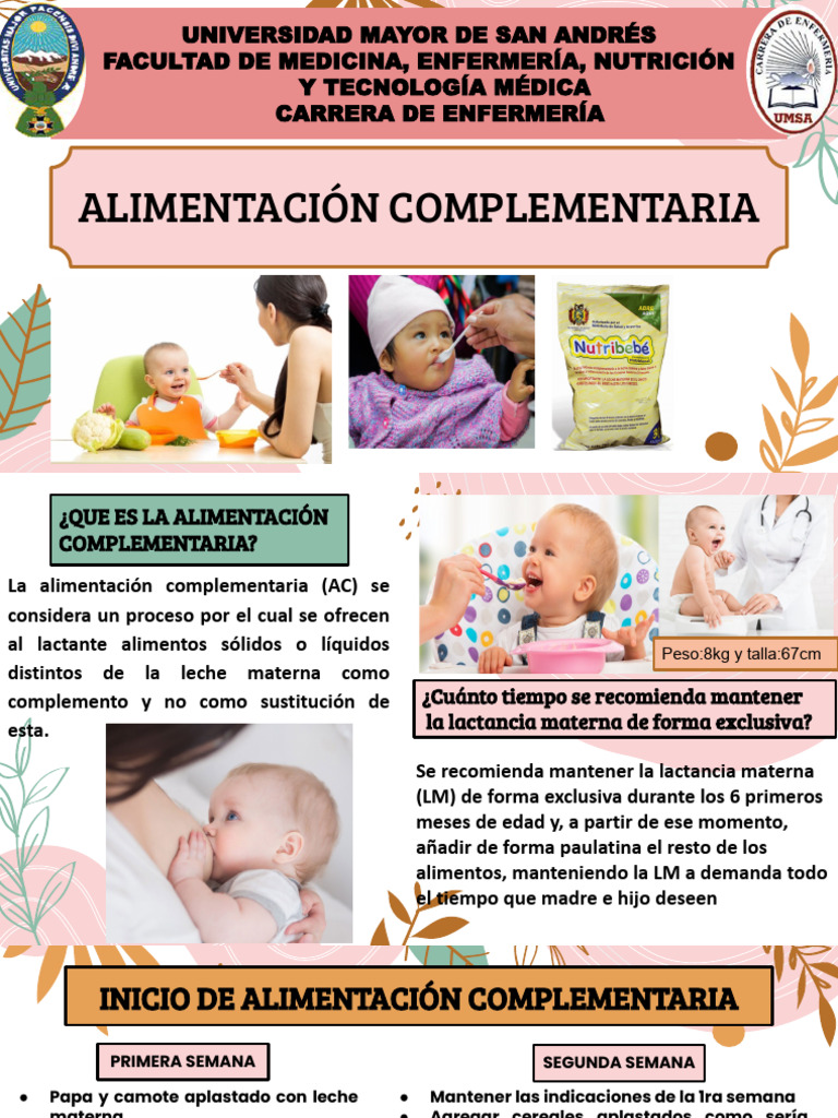 Alimentación Complementaria | PDF
