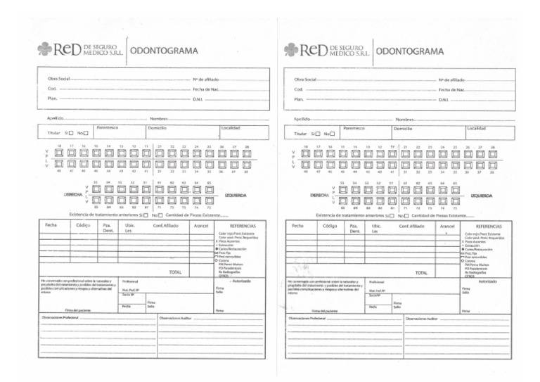 Odontograma | PDF