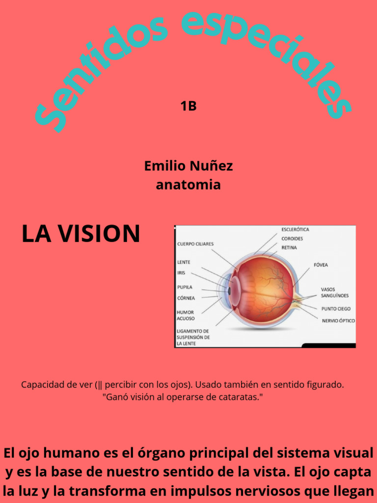 Emilio Nuñez R | PDF