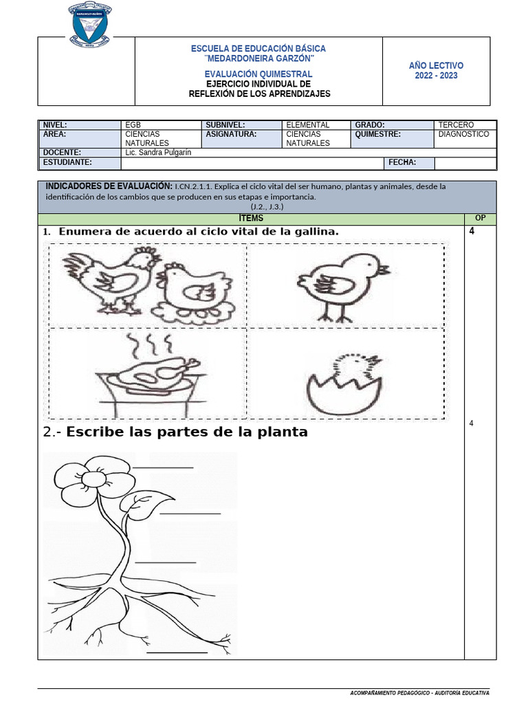 Examen Segundo Quimestre CCNN | PDF