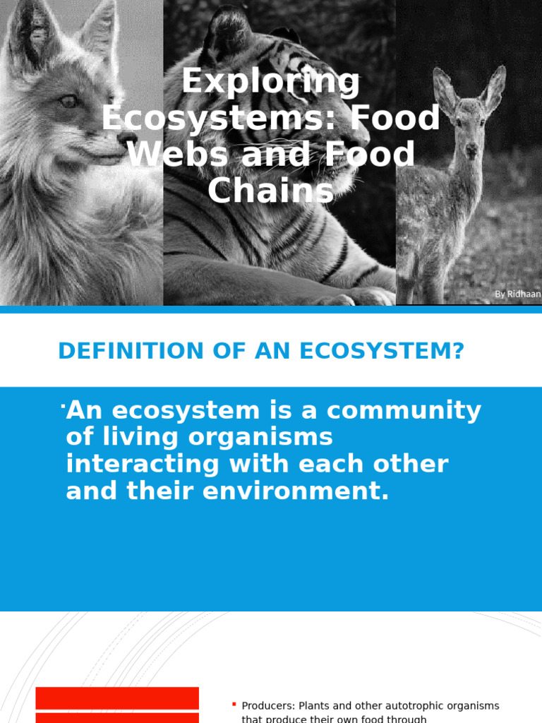 Exploring Ecosystems | PDF