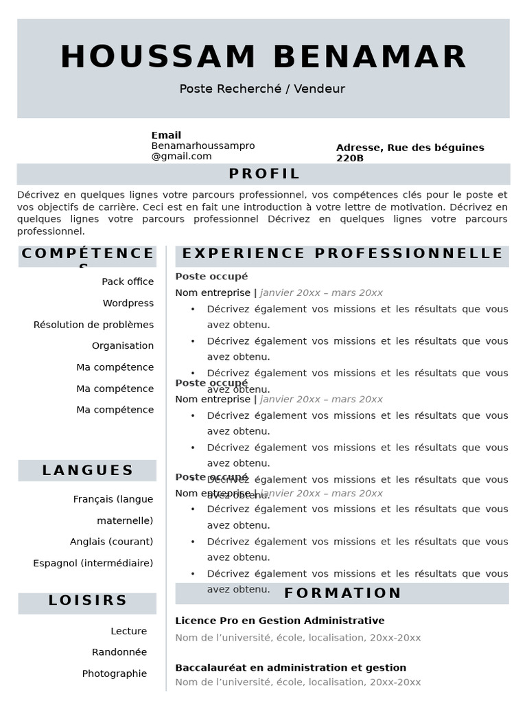 422 Cvexemple - Com CV Format Word | PDF