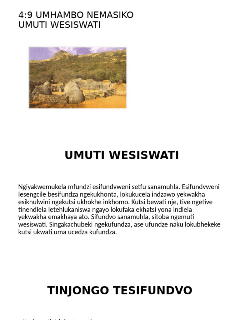 Umuti Wesiswati: Imikhuba Nezincazelo | PDF