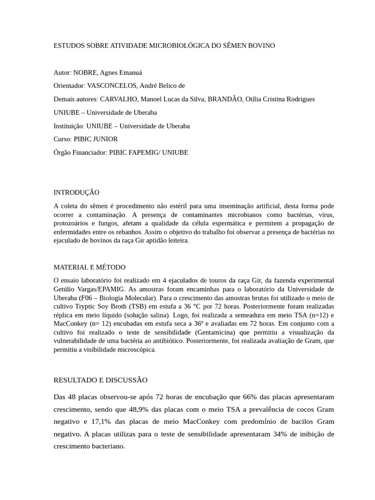 Resumo Semic 2024 Agnes Andre | PDF