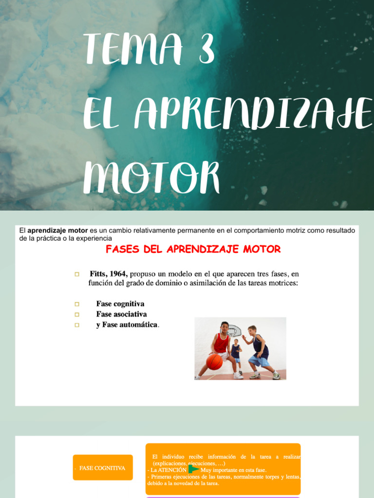 TEMA 3 EL APRENDIZAJE MOTOR | PDF TEMA 3 EL APRENDIZAJE MOTOR | PDF