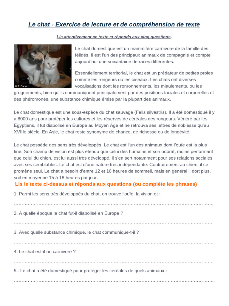 Le Chat | PDF